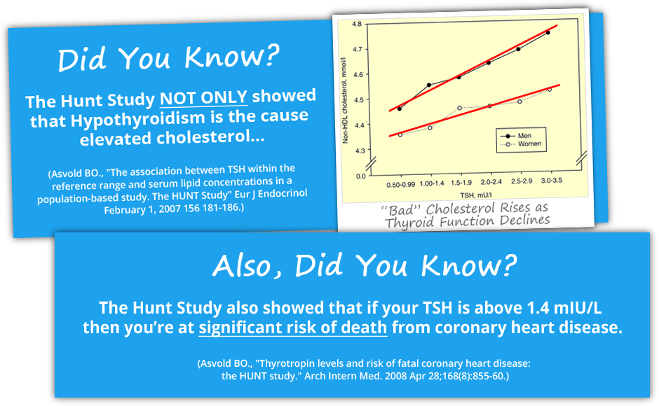 Hypothyroidism Revolution | VSL2 – Control